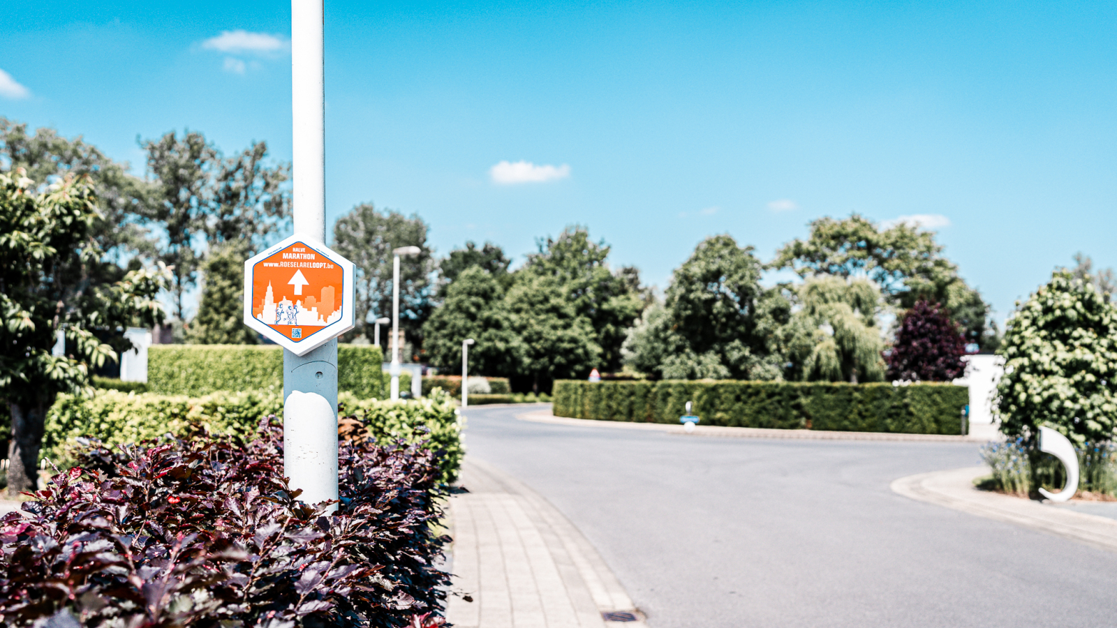 Halve marathon in Roeselare | Sport #VANRSL