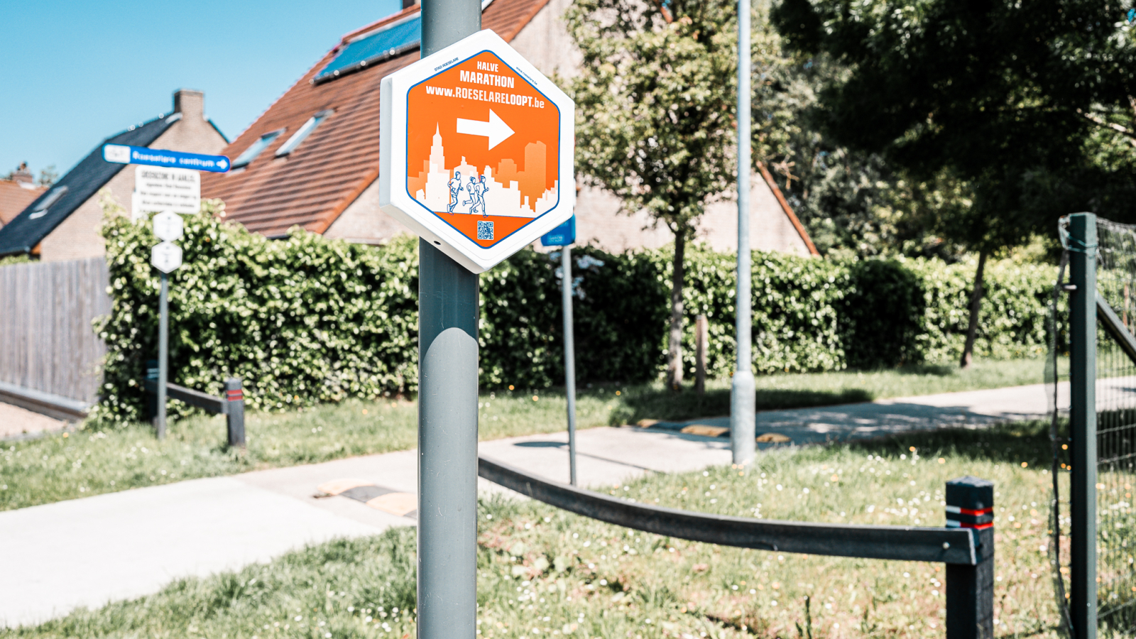 Halve marathon in Roeselare | Sport #VANRSL